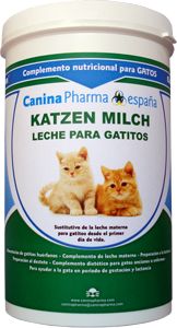 Mascotas: Salvar a un gatito recién nacido - Inspiraciones ...